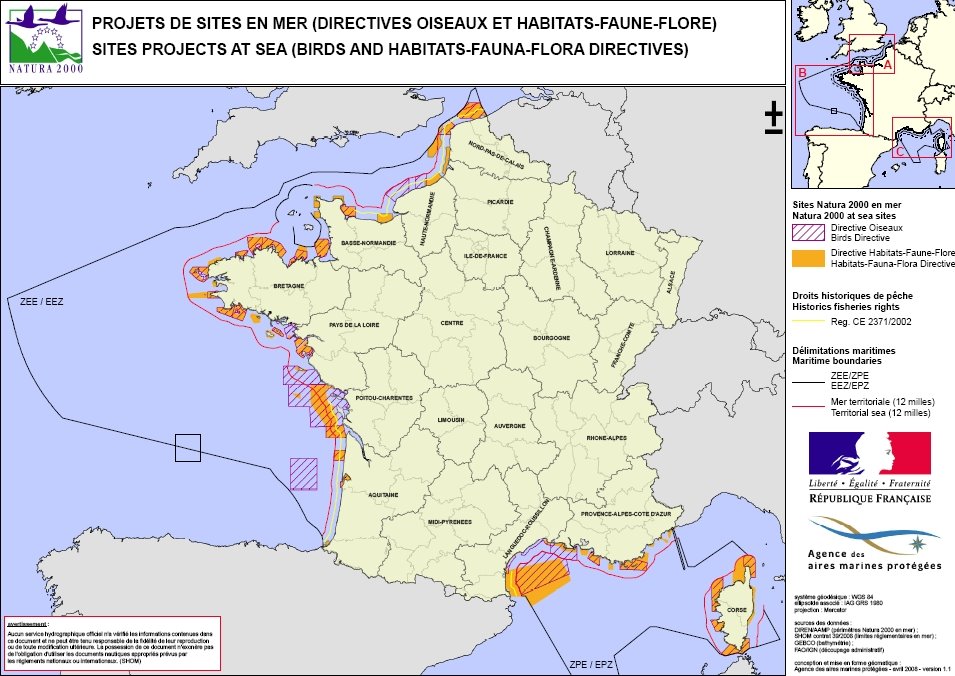 Marin French Meaning at Debbie Apodaca blog